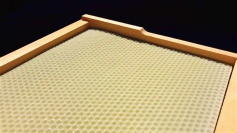 Types Of Brood Frames You Should Know Farmvina