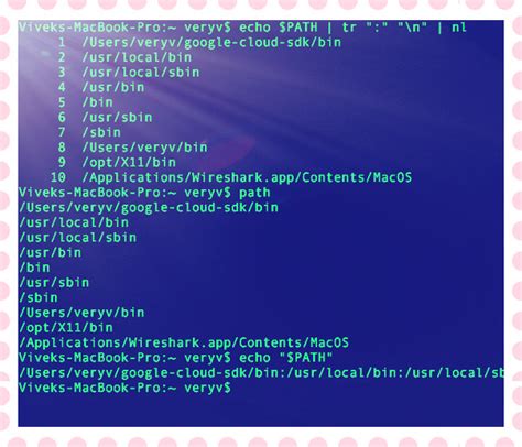 Mac Os X Show All Environment Variables For Process Everel