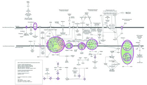 Data Collected From Transcriptomic And Proteomic Experiments Were Download Scientific Diagram