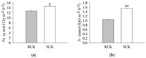 Plants Free Full Text Proteomic Analysis Comparison On The