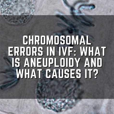 Chromosomal Errors In Ivf What Is Aneuploidy And What Causes It Remembryo