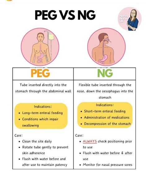A Peg Tube Percutaneous Endoscopic Gastrostomy Tube And An Ng Tube