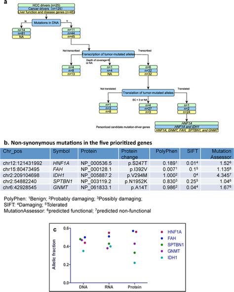 The Classification Of Somatic Mutations And Prioritization Of Download Scientific Diagram