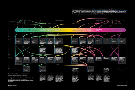 Biological Sex Spectrum Rlgbt