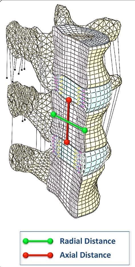 Radial Distance Green Line Distance Between Two Standard Nodes At Download Scientific