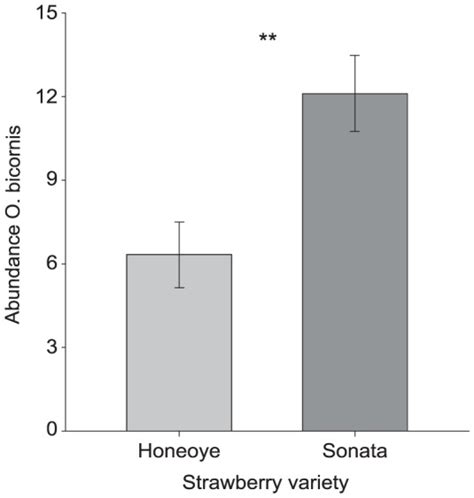 Data Show Mean Numbers SE Of Observed Specimen Per Subunit P Download Scientific Diagram