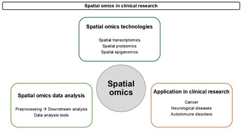 Spatial Omics In Clinical Research A Comprehensive Review Of