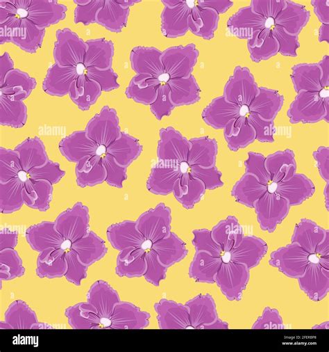 Seamless violets hi-res stock photography and images - Alamy