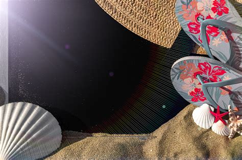 쉘 패턴입니다 화창한 날에는 바다 해변의 검은 책상 근처에서 글로브 조개 비행기 및 불가사리 여름 방학 과 비즈니스 여행 개념의 공간을 복사합니다 개념에 대한 스톡 사진 및