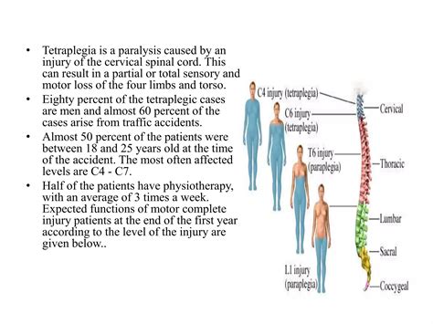 Rehabilitation For Paraplegia And Quadriplegia Pptx