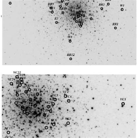 Top Grey Scale Map Of A R Reference Image Covering An Area Of Download Scientific Diagram