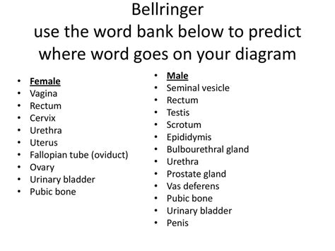 Monday December Ppt Download