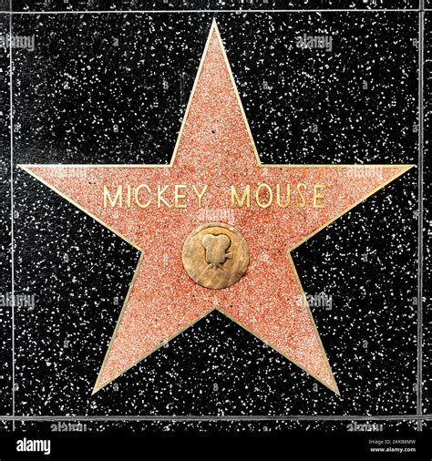 Los Angeles Usa March 17 2019 Closeup Of Star On The Hollywood