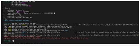 Flink 1145访问doris 216表数据报 Schema Size Of Fetch Data Is Wrong