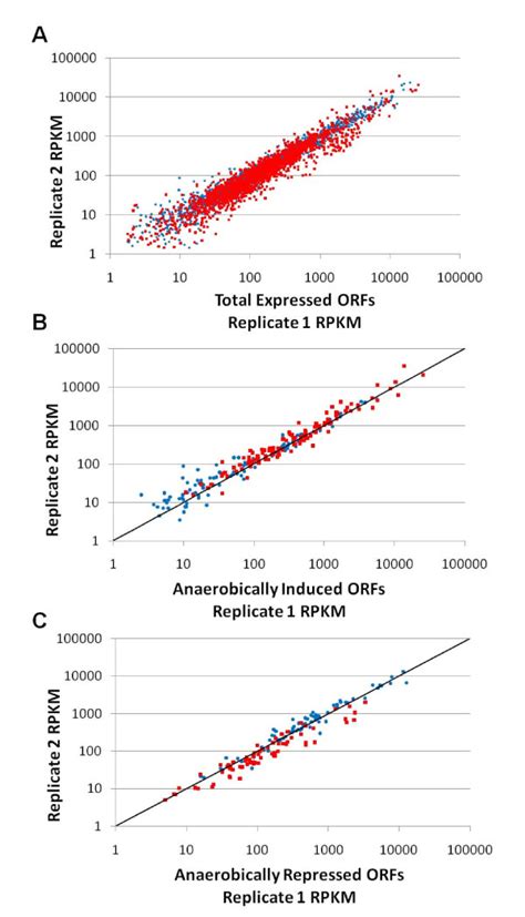 Reproducibility Of Expression Level Between Replicates A The Rpkm Of Download Scientific