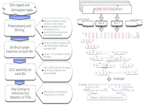 Itd Assembler Workflow Schema The Major Itd Assembler Processing Steps