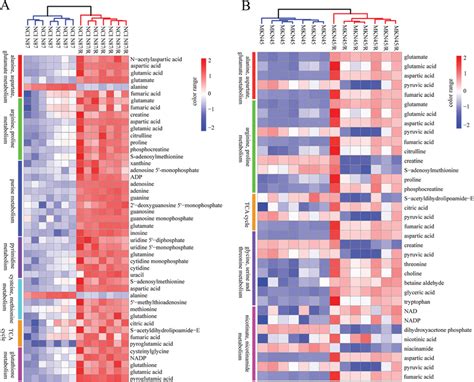 Heat Map Visualization Of Differential Metabolites From Significantly