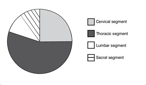 Vertebral Segment Affected Download Scientific Diagram