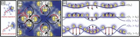 A Schematic Representation Of Colloidal Janus Particles Spheres