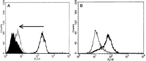Reduction Of Nonspecific Binding Of Serum Antibodies From Cho Tshr