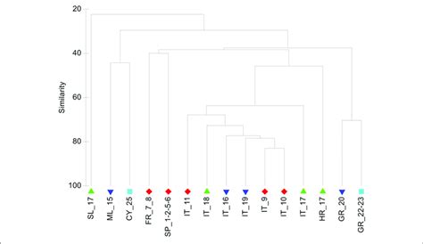 cluster analysis group average based on bray curtis similarity