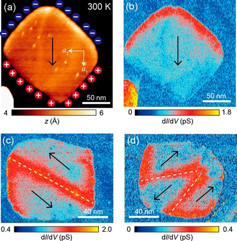 Microscopic Manipulation Of Ferroelectric Domains In Snse Monolayers At
