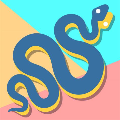 460 Python Langage De Programmation Illustrations Stock Illustrations