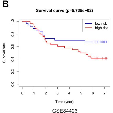 Differential And Enrichment Analysis Of Degs Between The High Risk And