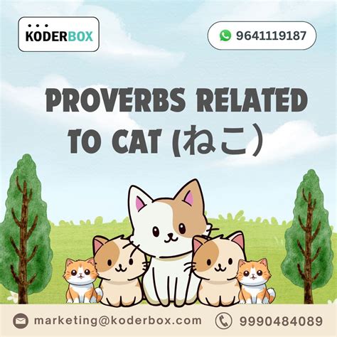 Learnjapanese Catproverbs Japaneseidioms Japaneselanguage Jlptprep