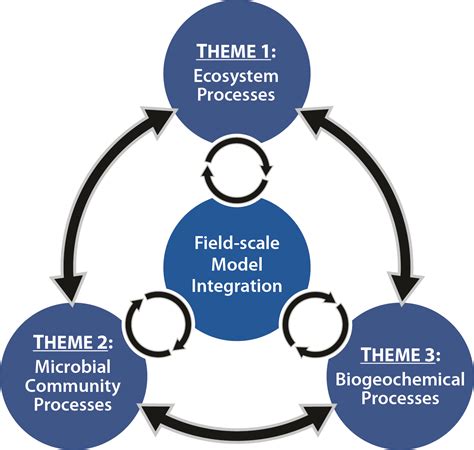 Theme 1 Ecosystem Processes