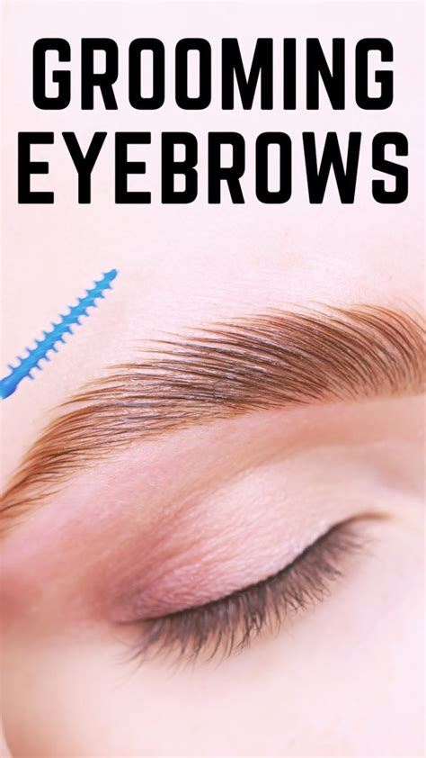 Are Eyebrows A Body Part Fitness Beauty Art