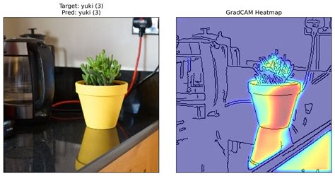 Grad CAM For Explaining Computer Vision Models A Data Odyssey