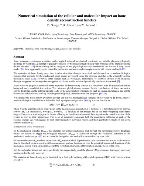 Pdf Numerical Simulation Of The Cellular And Molecular Impact On Bone