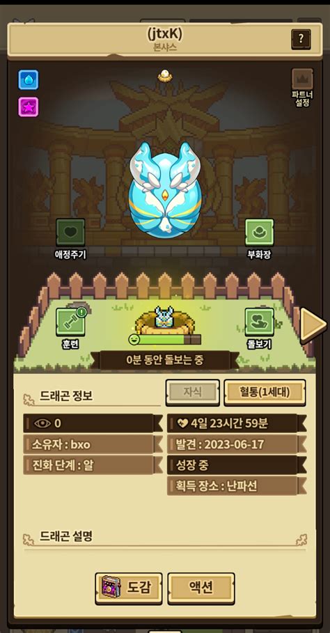 드래곤빌리지 컬렉션