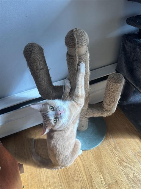 i m sorry did i interrupt you r oneorangebraincell