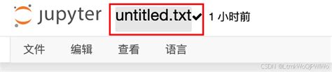 Jupyter Notebook使用教程（远程）jupyter Notebook 远程 Csdn博客