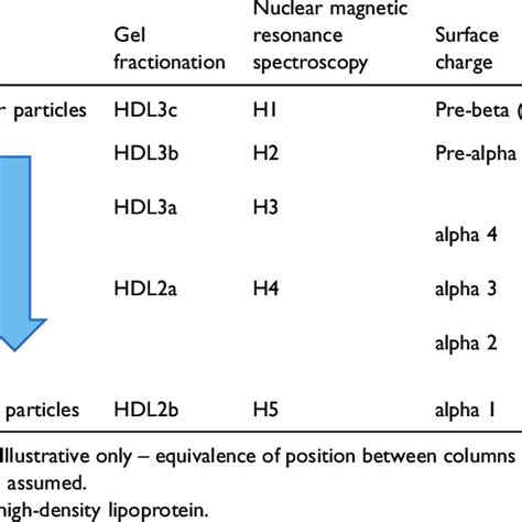 Classifications Of The Hdl Molecule Download Scientific Diagram