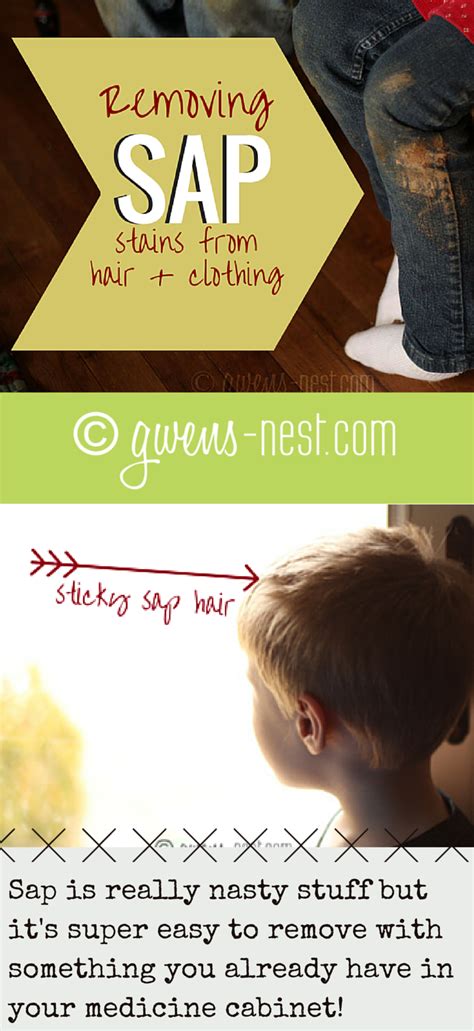 Tree Sap Stains Gwen S Nest