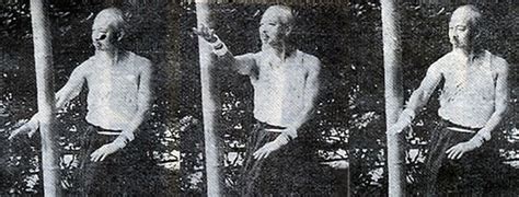 Da Saam Sing Batida De Três Estrelas ~ Boxe Da Família Hung