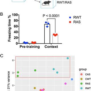 Experimental Design Contextual Memory Recall And Overview Of The Download Scientific Diagram