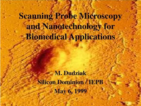 PPT Scanning Probe Microscopy And Nanotechnology For Biomedical Applications PowerPoint