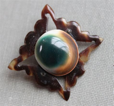 Victorian Operculum And Tortoise Shell Brooch Etsy Tortoise Shell Seashell Jewelry Vintage Victorian Operculum And Tortoise Shell Brooch Etsy Tortoise Shell Seashell Jewelry Vintage