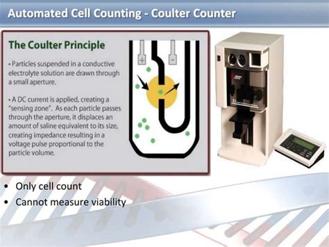 Cell Counting And Viability Pptx