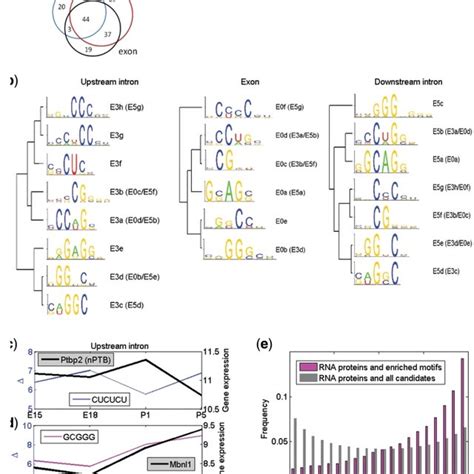 Identification Of Cis Regulatory Elements A Venn Diagram Of