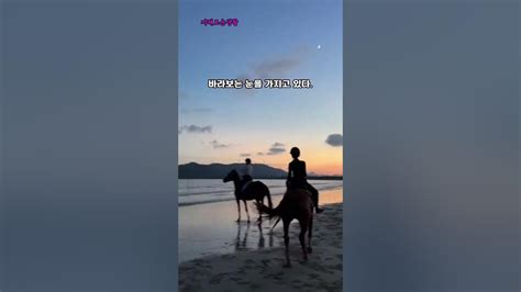 나에게들려주는긍정확언 지혜로운생활 삶의지혜 긍정확언 자기암시 실행 좋은글 발전 성장 감사 행복한인생 주인공