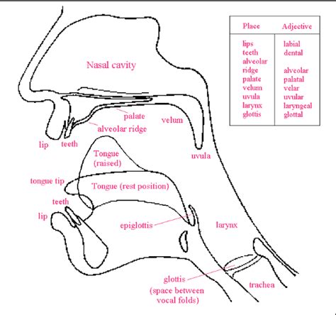 English Phonetics Mind Map