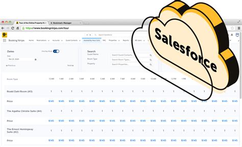 Integration With Salesforce Platform Booking Ninjas