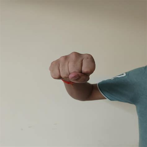 Gesture Detection Object Detection Dataset And Pre Trained Model By Harsh