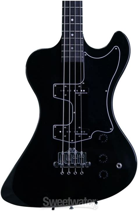 Krist Novoselic Bass