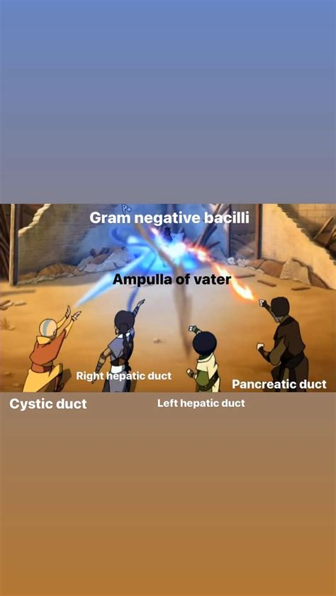 Prevention Of Ascending Cholangitis Rstep1
